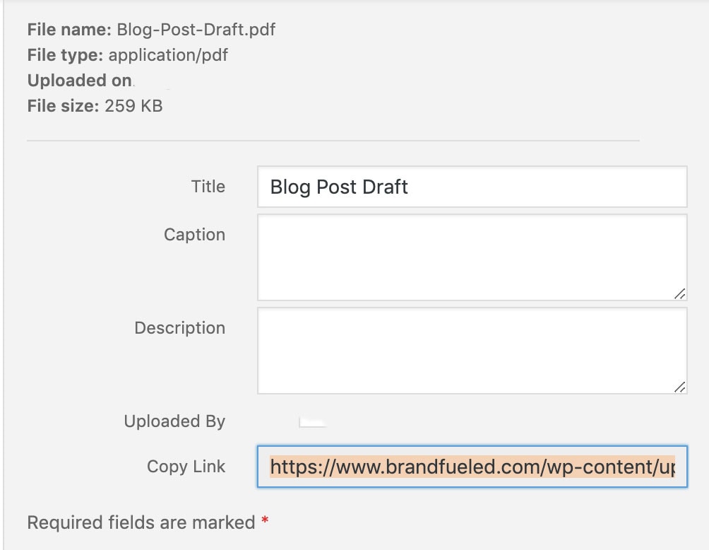 Adding A PDF To Your Wordpress Website Brand Fueled